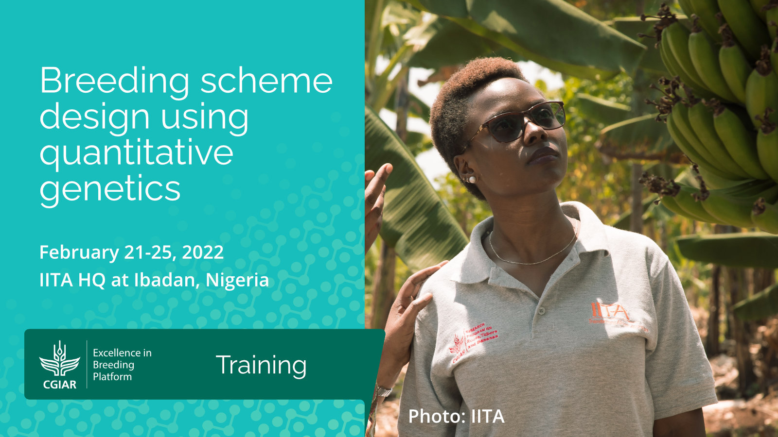 Breeding scheme design using quantitative genetics | Excellenceinbreeding